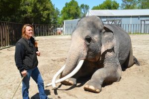 Two Tails Ranch. A unique destination