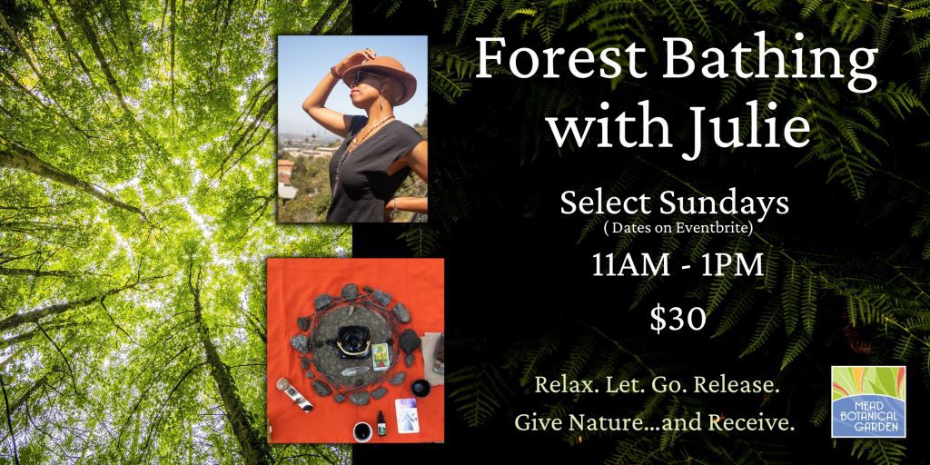 Forest Bathing with Julie at Mead Botanical Garden | Park Ave Magazine